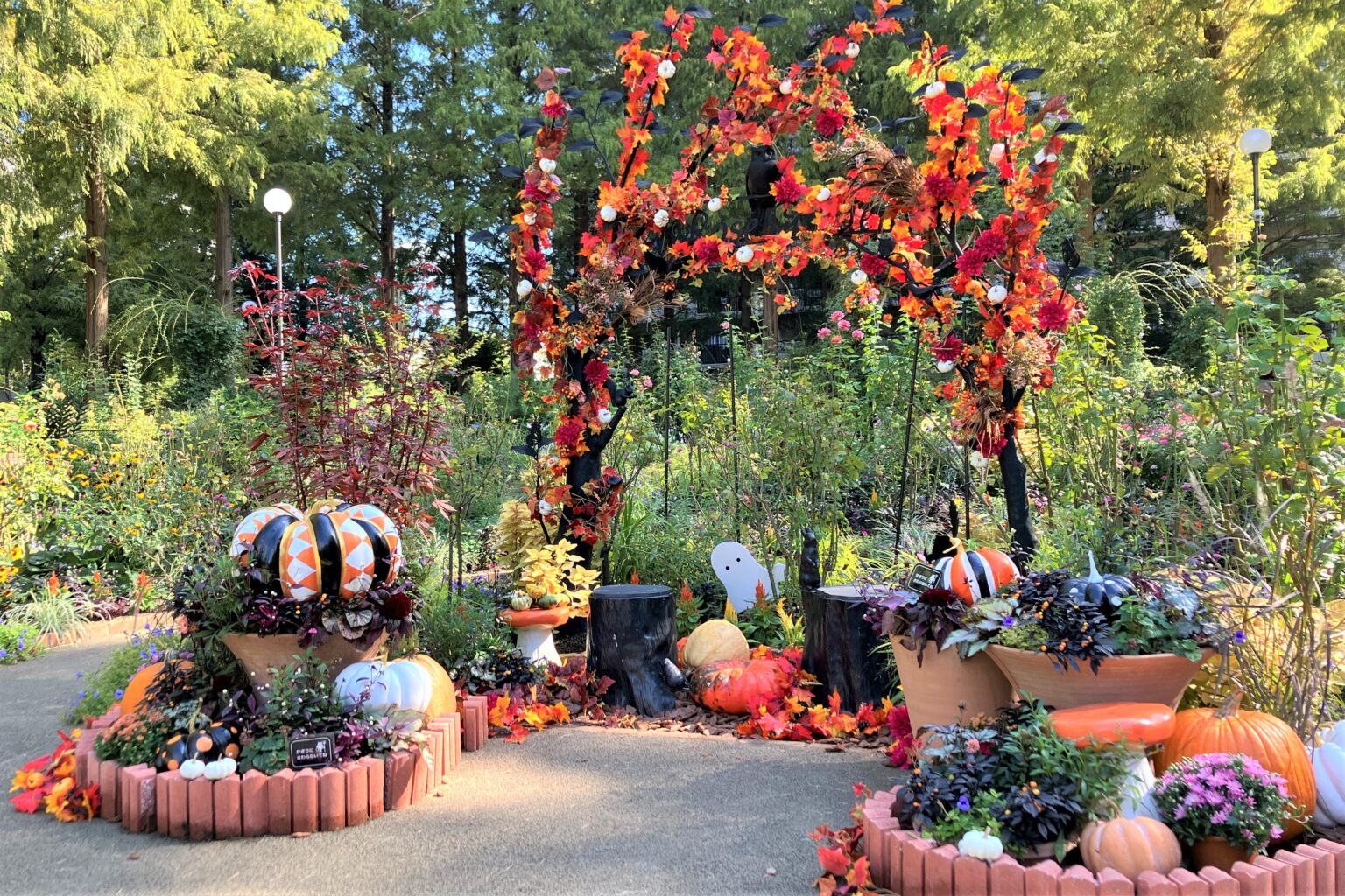 練馬区立「四季の香ローズガーデン」で秋バラを楽しもう！ | ドコイク dokoiku 家族でお出かけ情報サイト