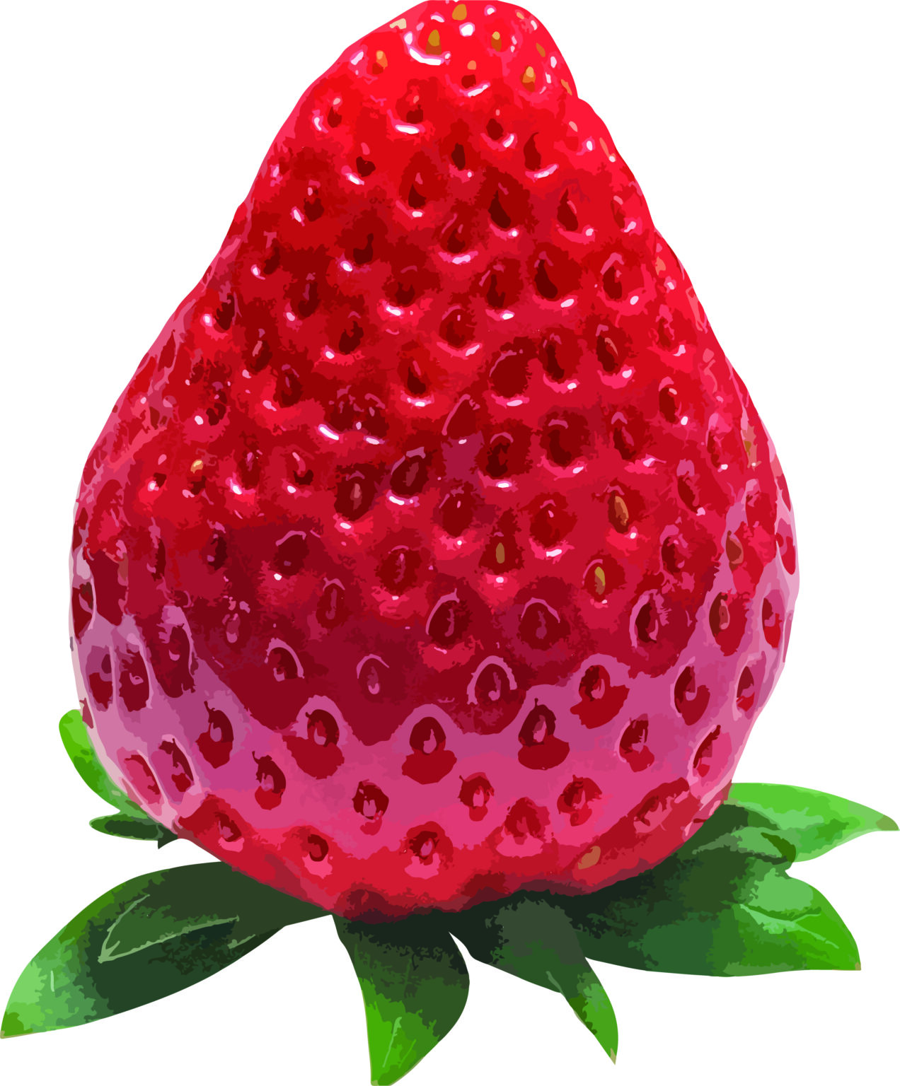 栃木のいちご狩り「時期」「品種」「農園」全情報ガイド 7選 | ドコイク dokoiku 家族でお出かけ情報サイト