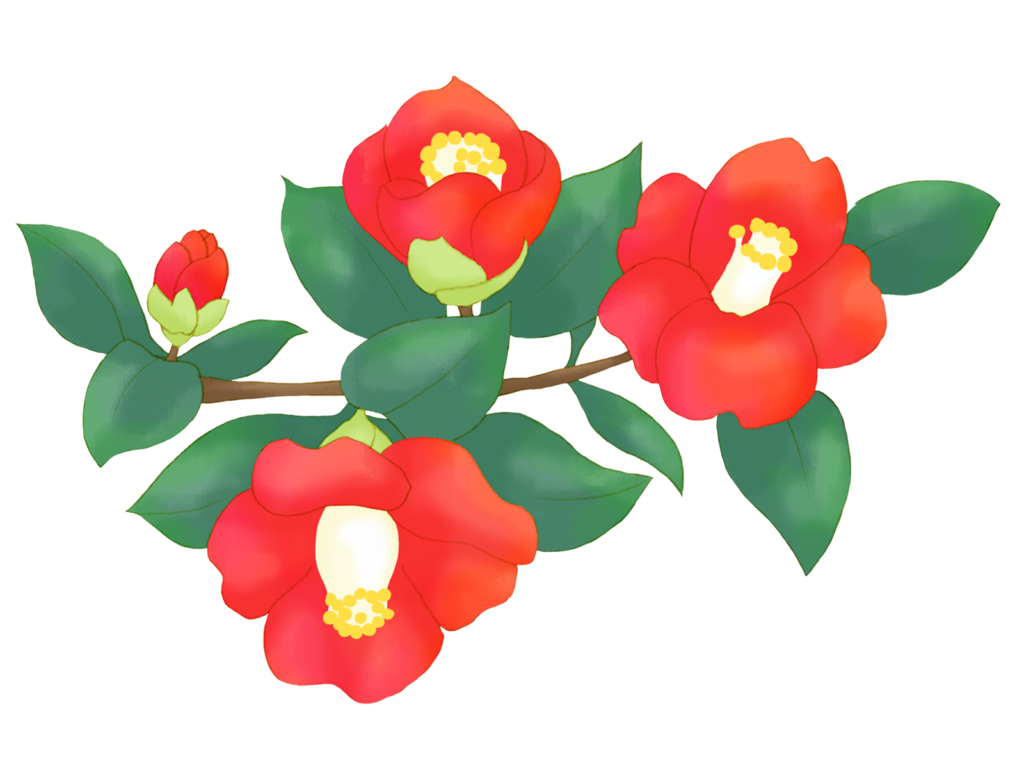 関東で楽しむ椿の名所―おすすめ庭園と見どころ特集 | ドコイク dokoiku 家族でお出かけ情報サイト