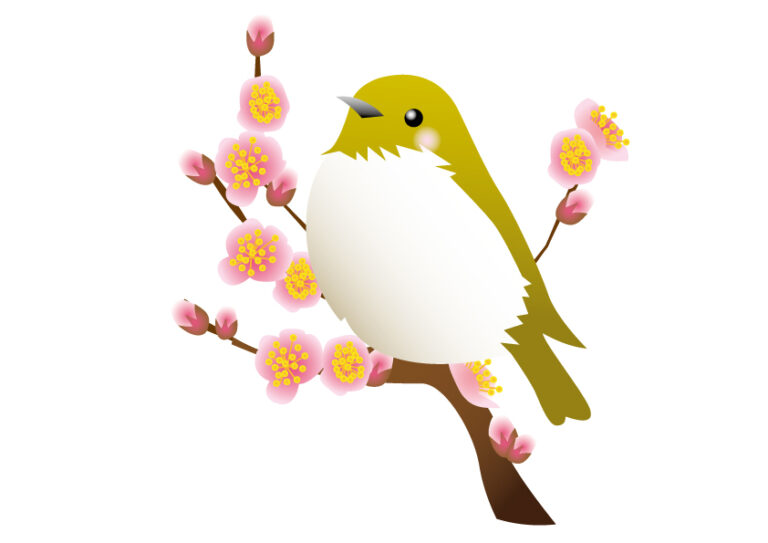 日本全国の梅の開花情報ガイド：三大梅林で春を楽しもう | ドコイク dokoiku 家族でお出かけ情報サイト