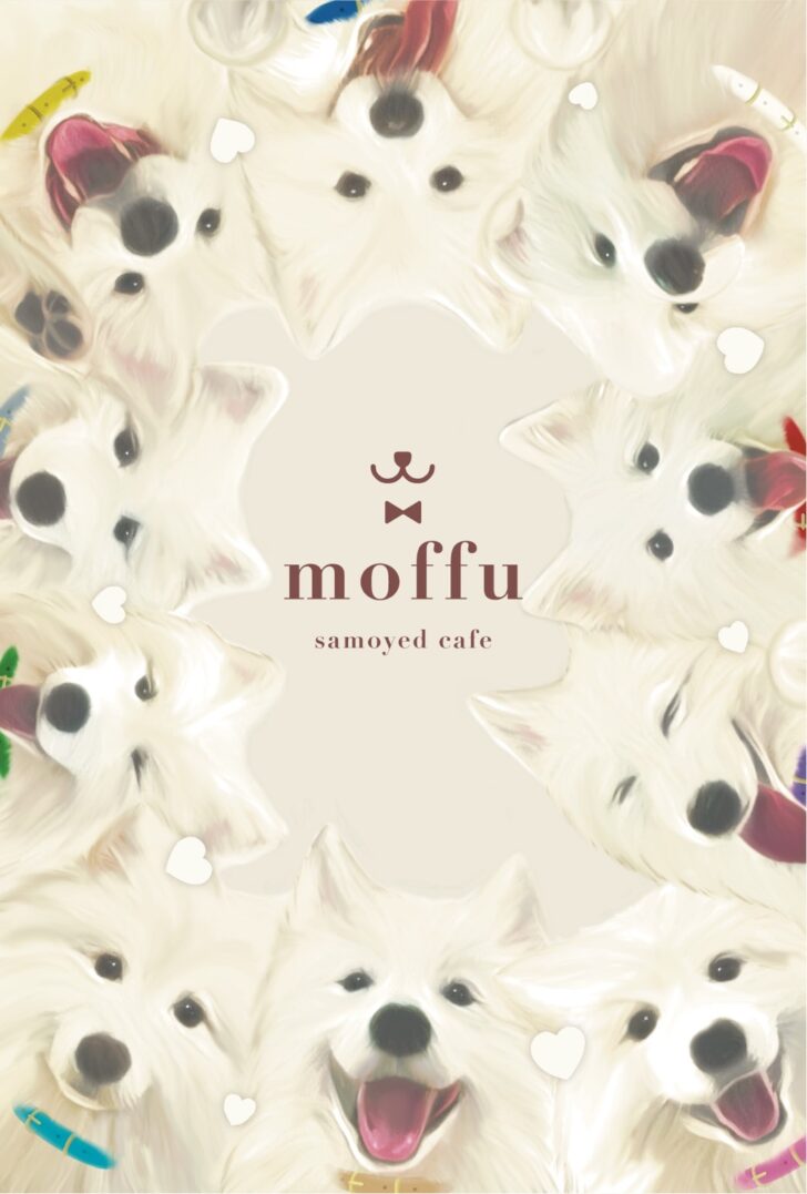 【東京】サモエドカフェおすすめ！サモエドとは？ふわもこ体験の魅力 | ドコイク dokoiku 家族でお出かけ情報サイト